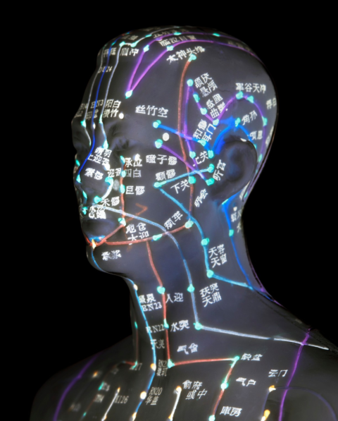 Inner Cultivation | Resonance Repatterning Institute